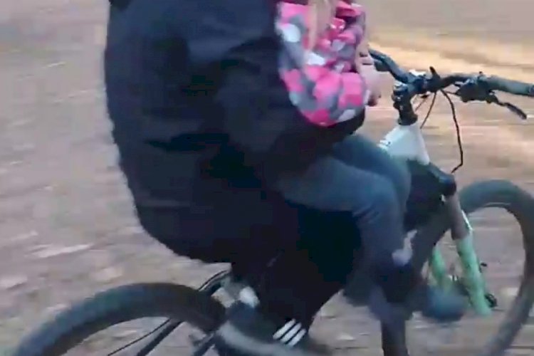 Отметили в лесу на база День папы - IfBest