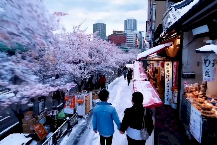 OpenAI Sora - IfBest