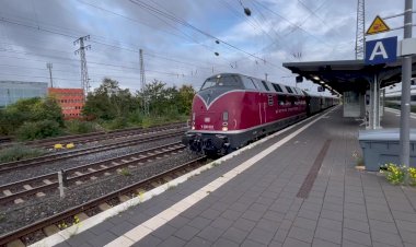 Как я пыталась помочь слётку дрозда рябинника - IfBest